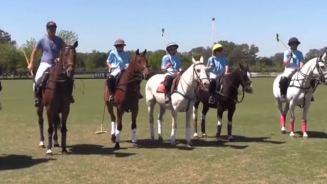 PoloLine.TV | Polo News 22 (English)