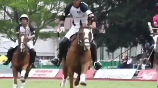 PoloLine.TV | Polo News 27 (English)