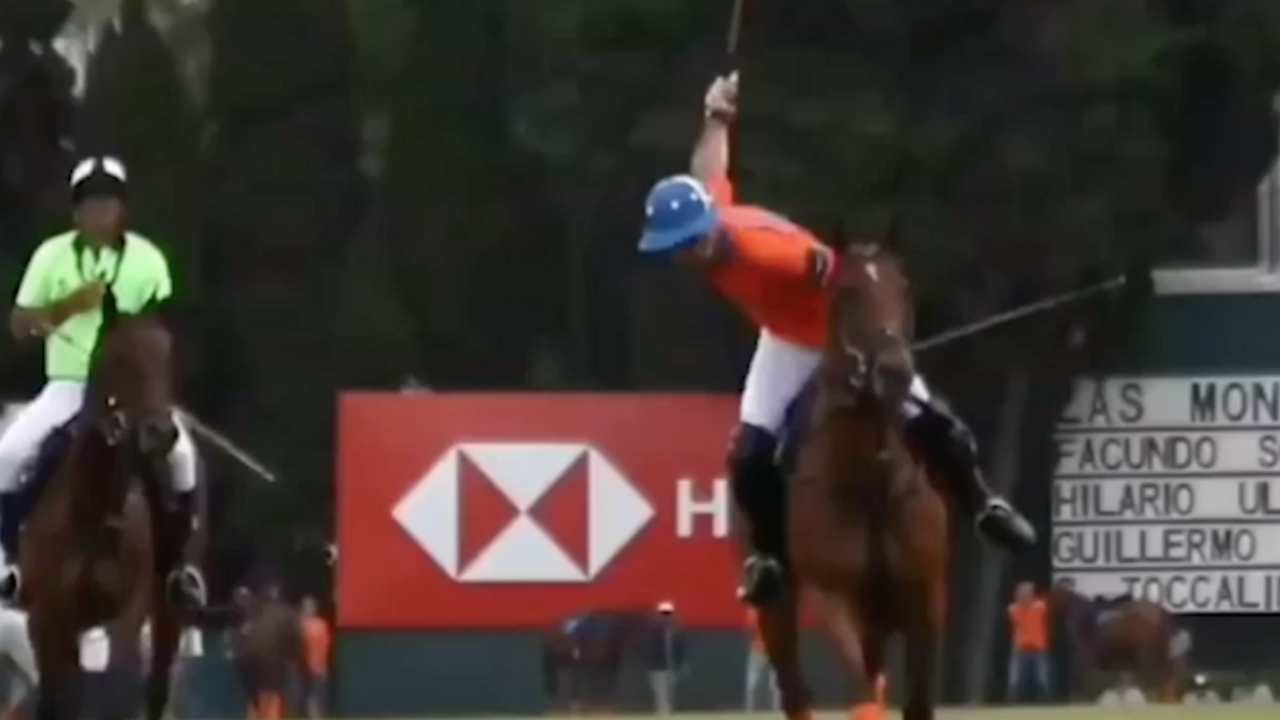 PoloLine.TV | Polo News 27 (English)