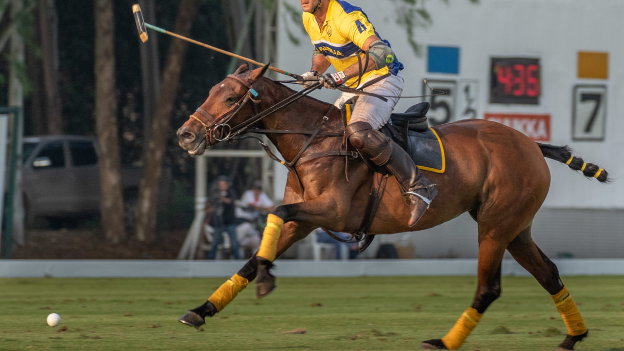 PoloLine.TV | Dubai Polo Masters Cup - Highlights best goals