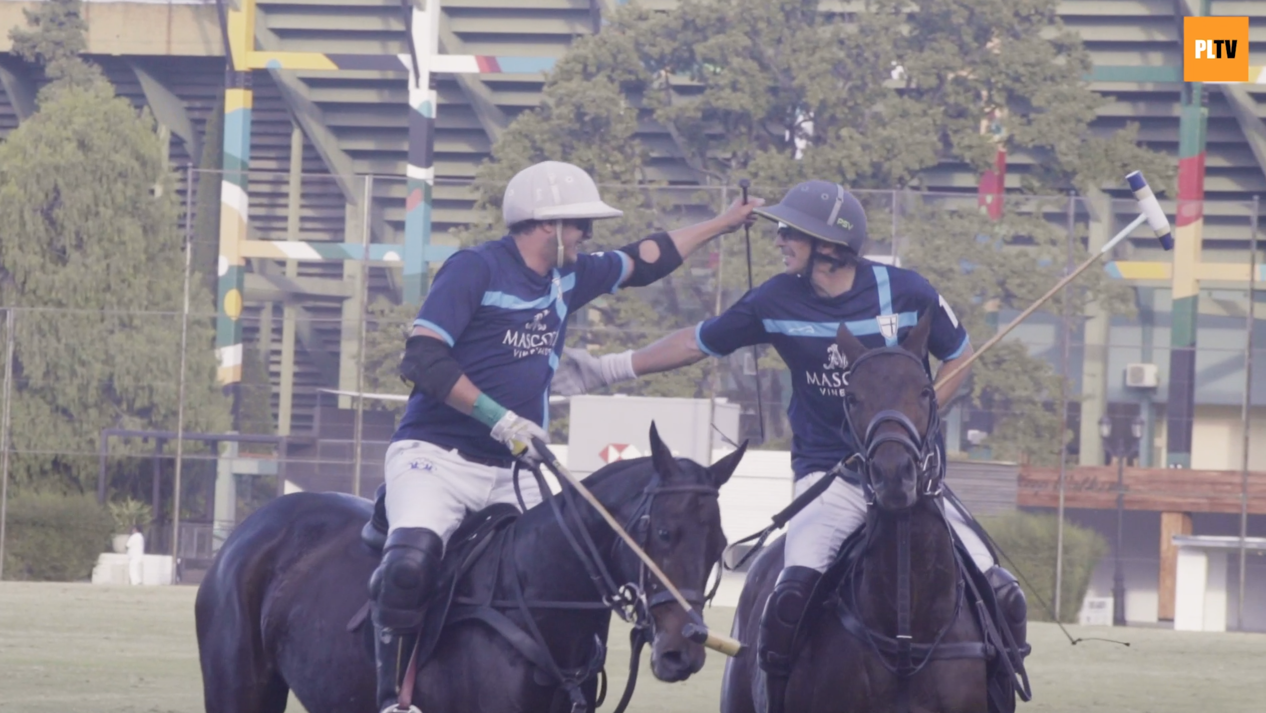 PoloLine.TV | Homepage
