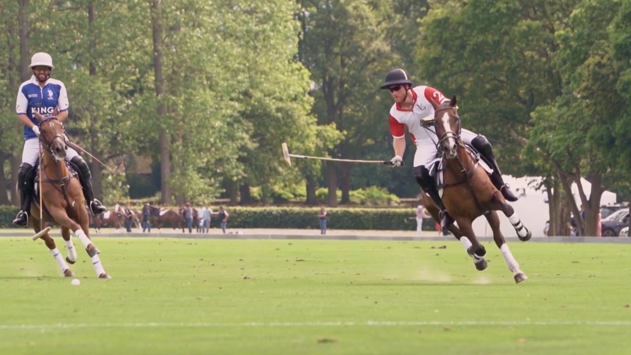 PoloLine.TV | The Polo Show