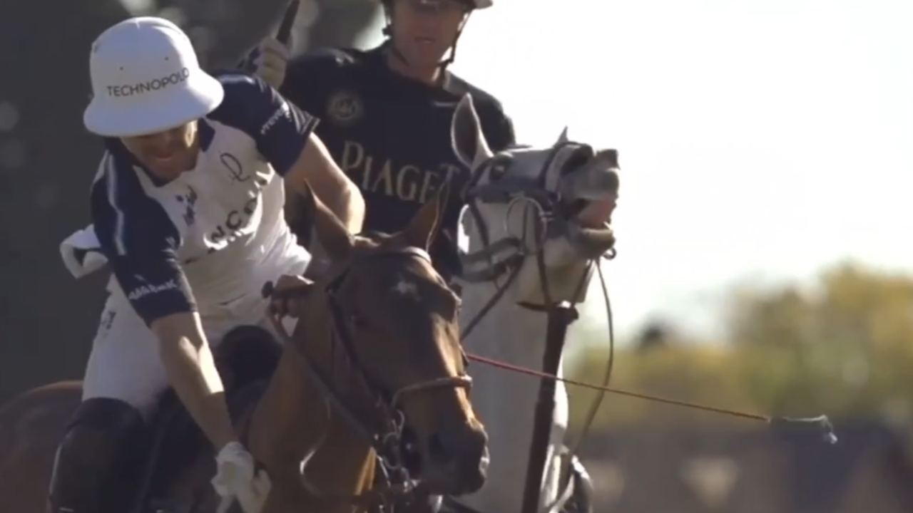 PoloLine.TV | Polo News