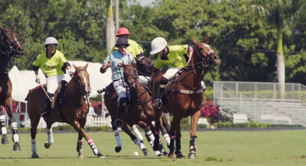 PoloLine.TV | The Polo Show #5