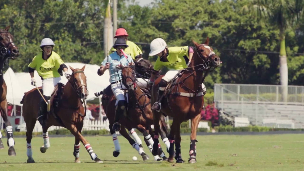 PoloLine.TV | SHOWS