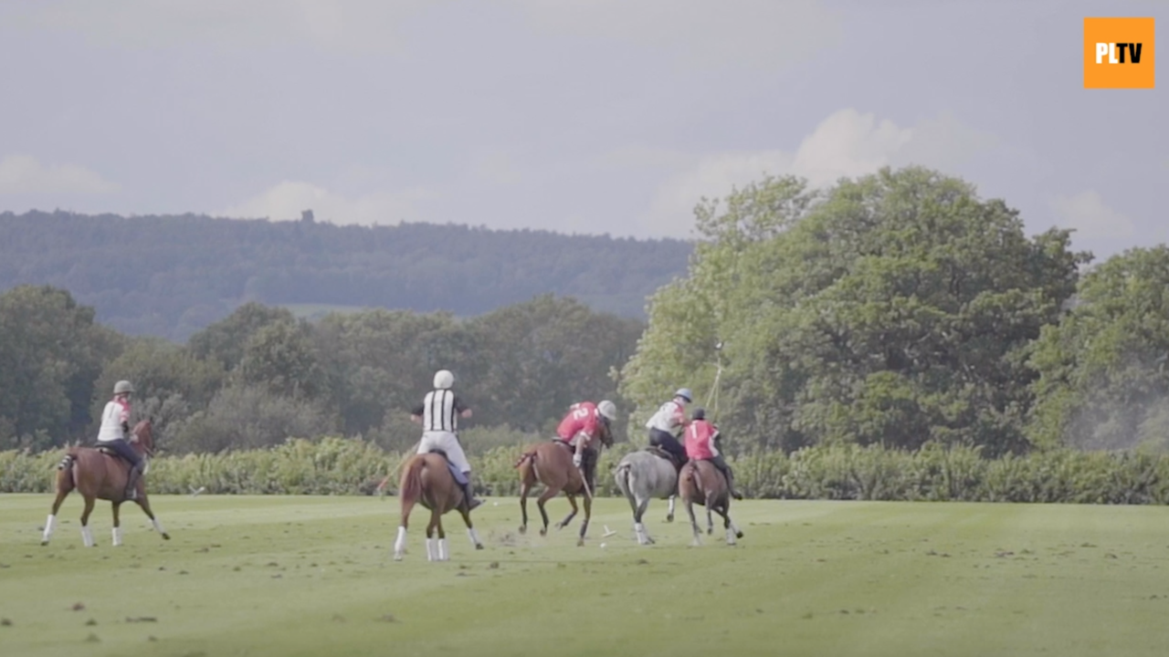 PoloLine.TV | Dillon Bacon - Les Lions