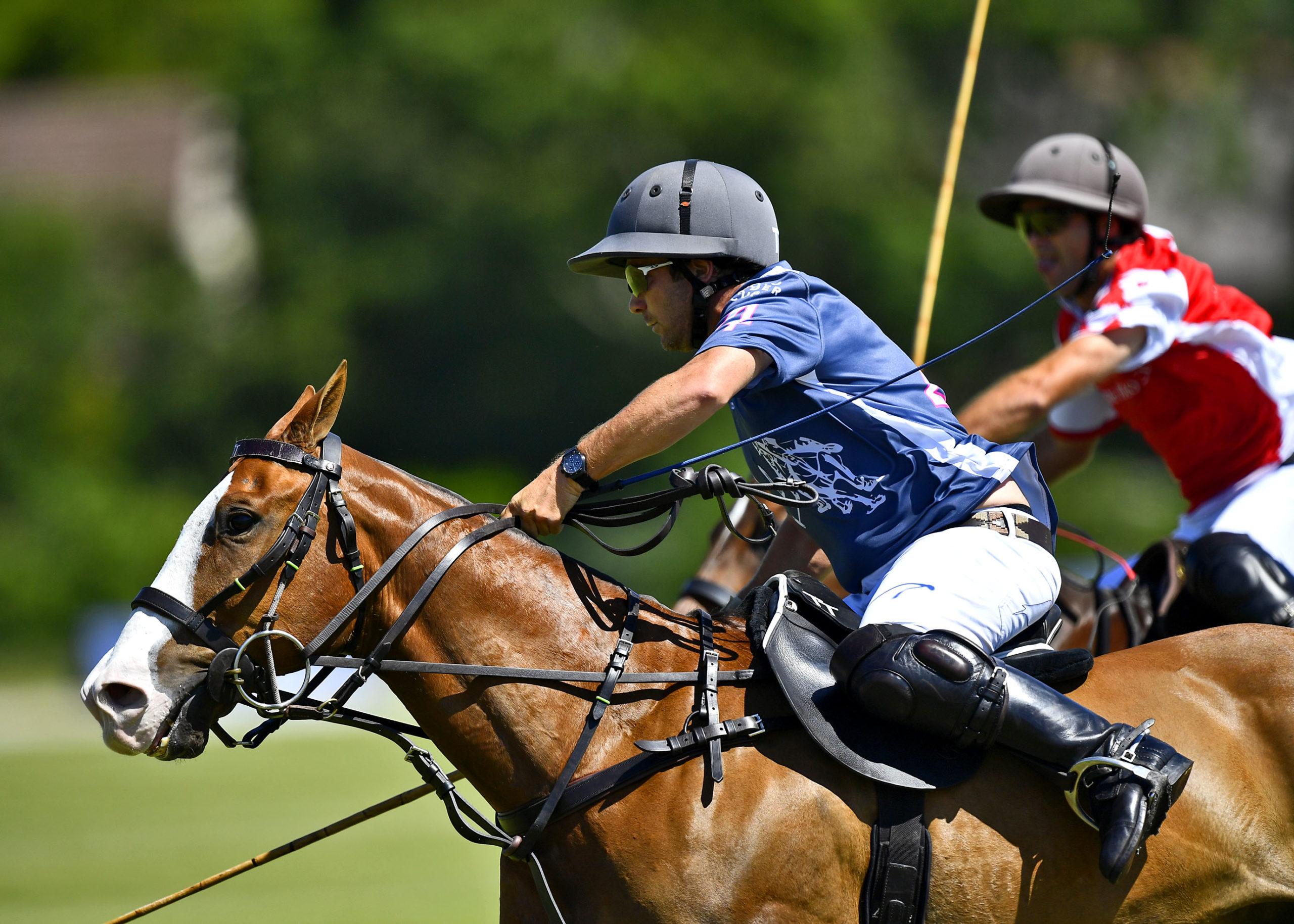 PoloLine.TV | Highlight Polo Rider Cup Day 2