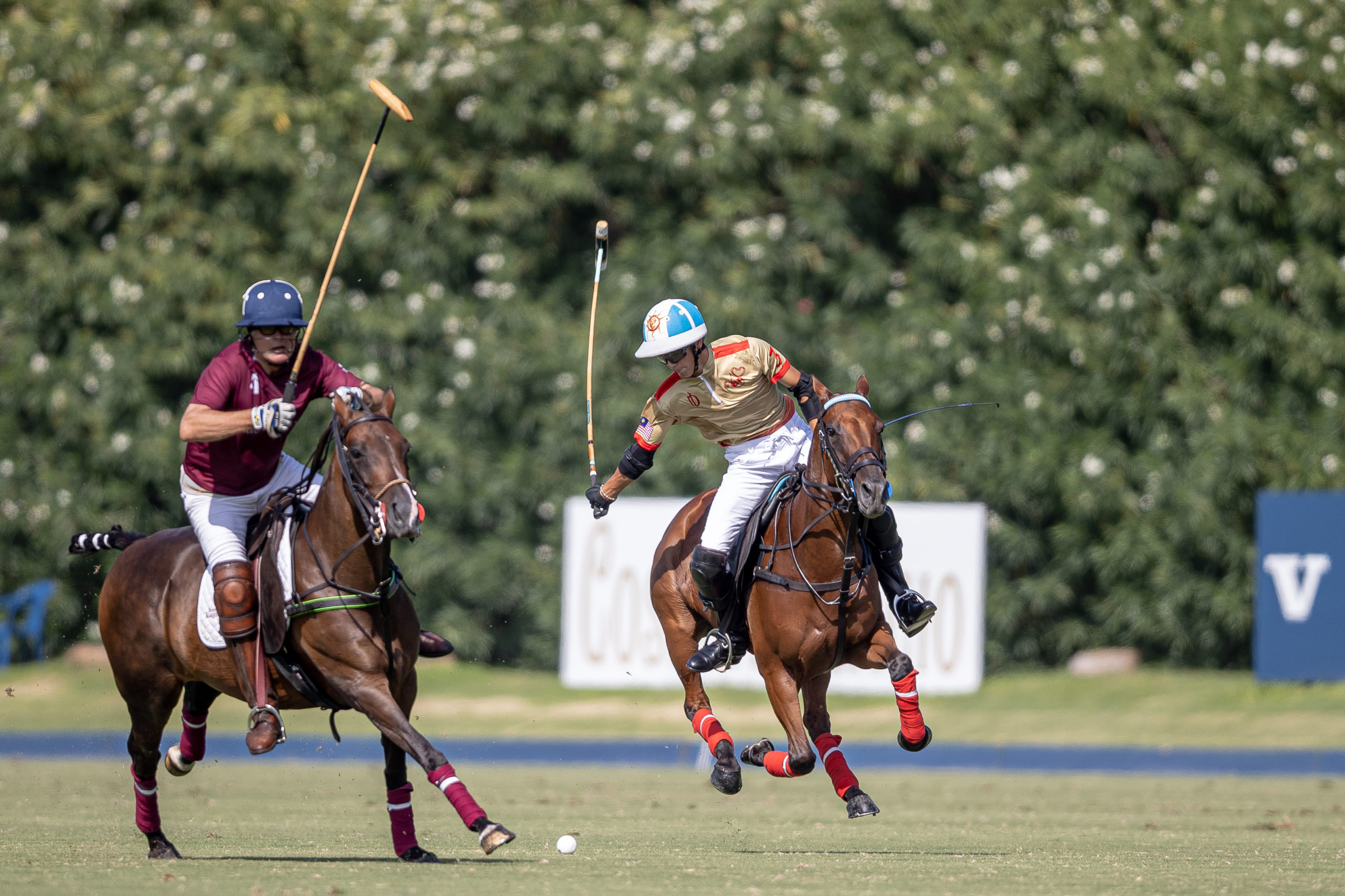 PoloLine.TV | Copa de Oro 50 Aniversario (Alto) - Marques de Riscal vs ...
