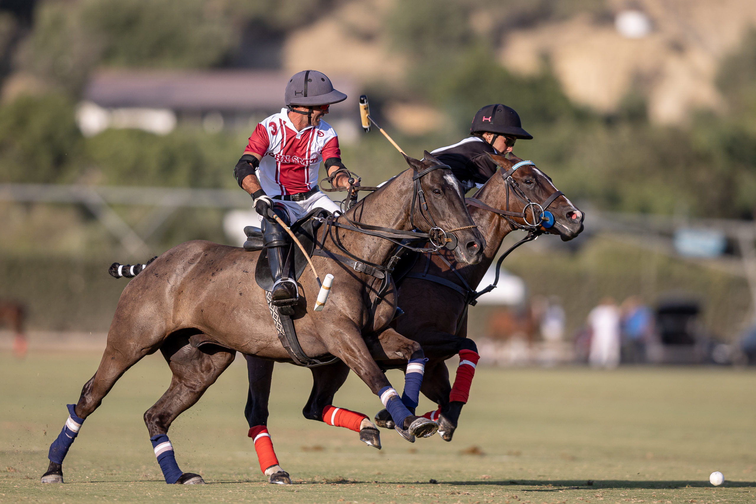 PoloLine.TV | Copa de Plata Terralpa (Mediano) - John Smith v Hodro