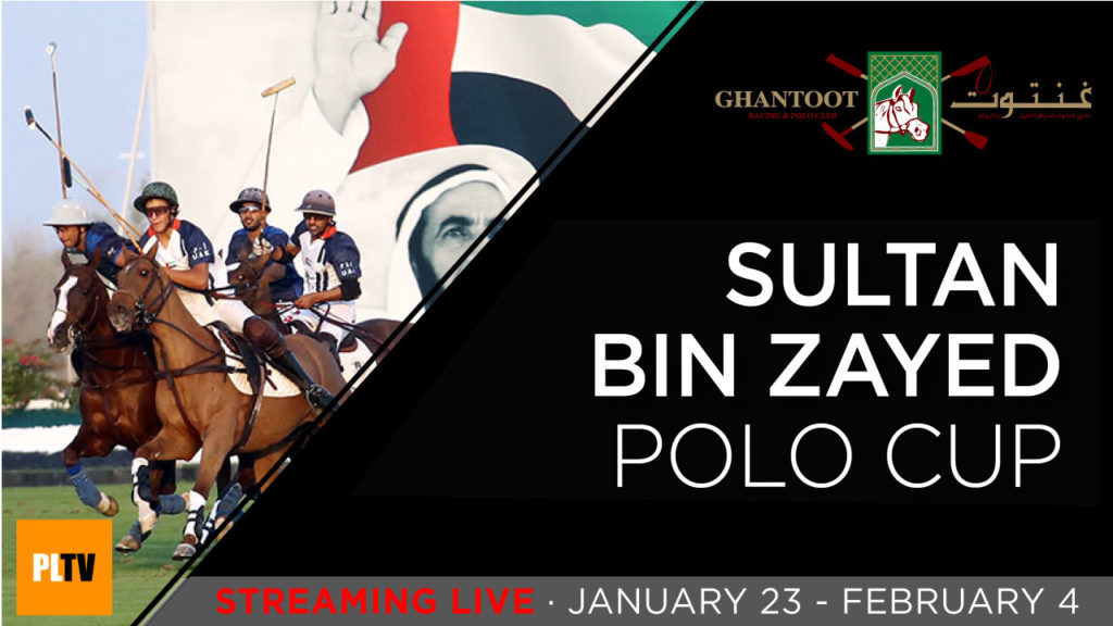 PoloLine.TV | LIVE