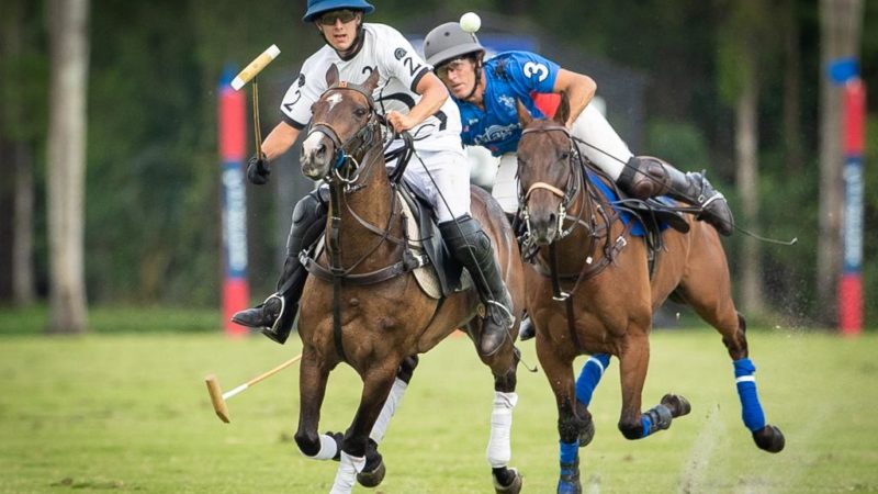 PoloLine.TV | Francesco Mitrano - Monte Carlo Polo Club