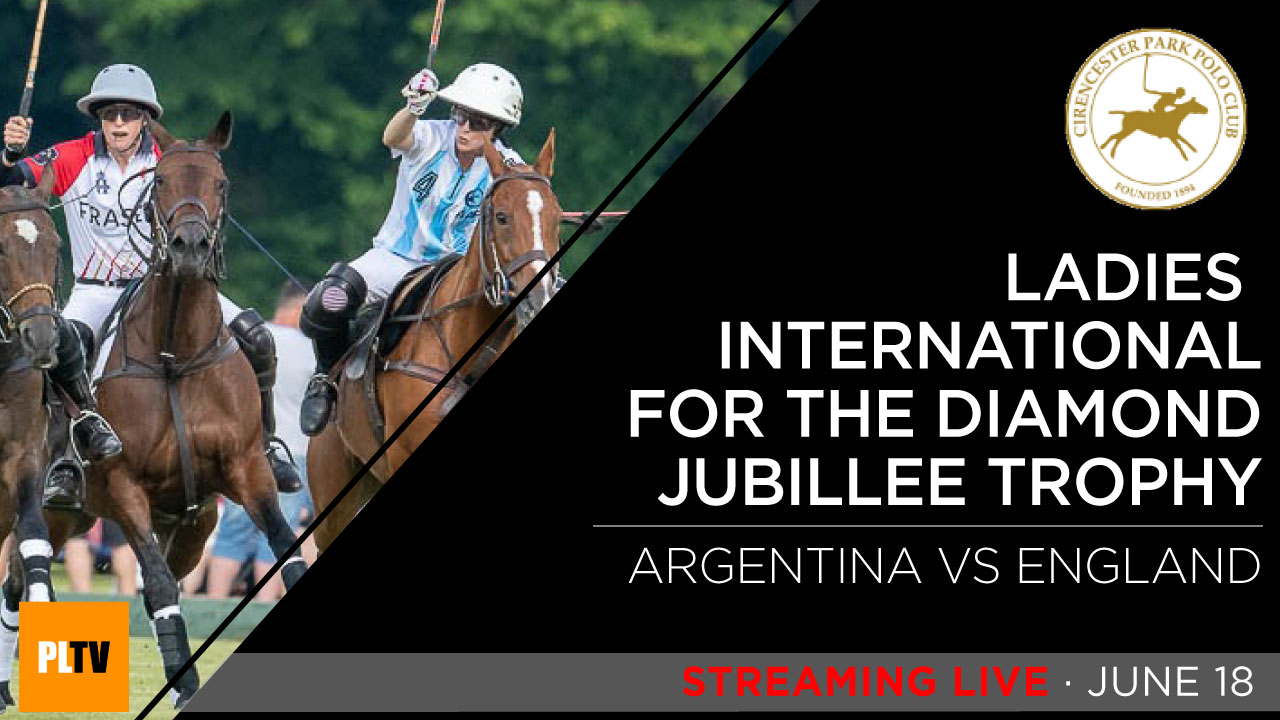 PoloLine.TV | LIVE