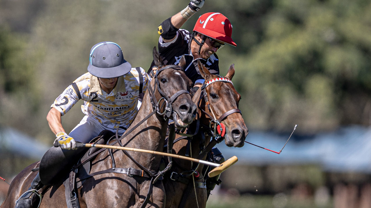 PoloLine.TV | MATCHES