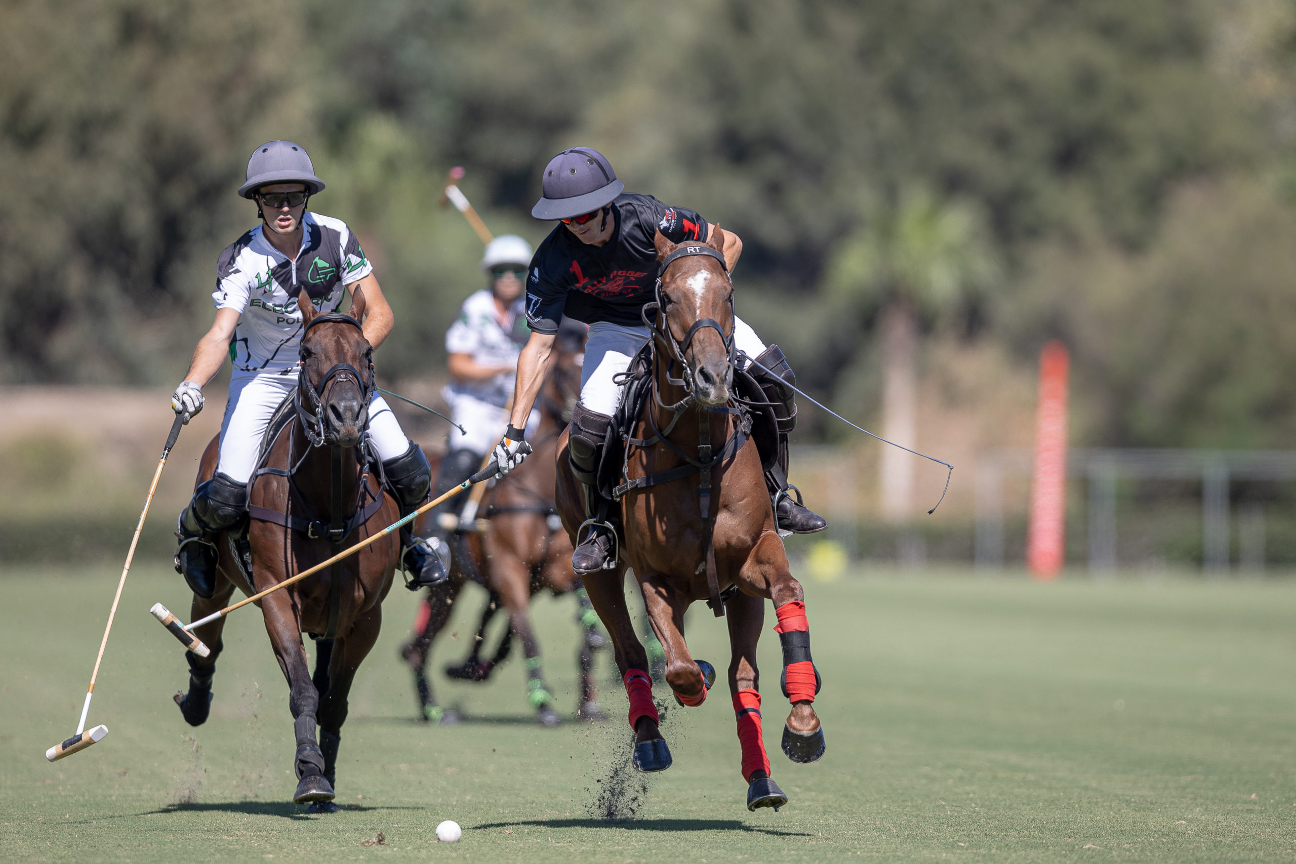 PoloLine.TV | Copa de Oro Mediano (Globant) - Jolly Roger v Electric Polo