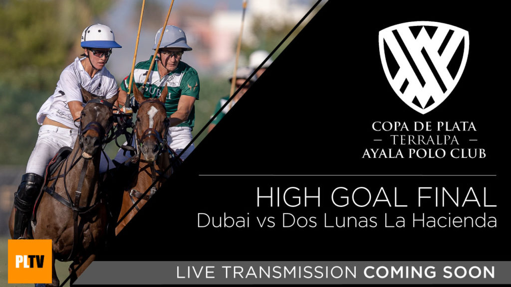 PoloLine.TV | LIVE