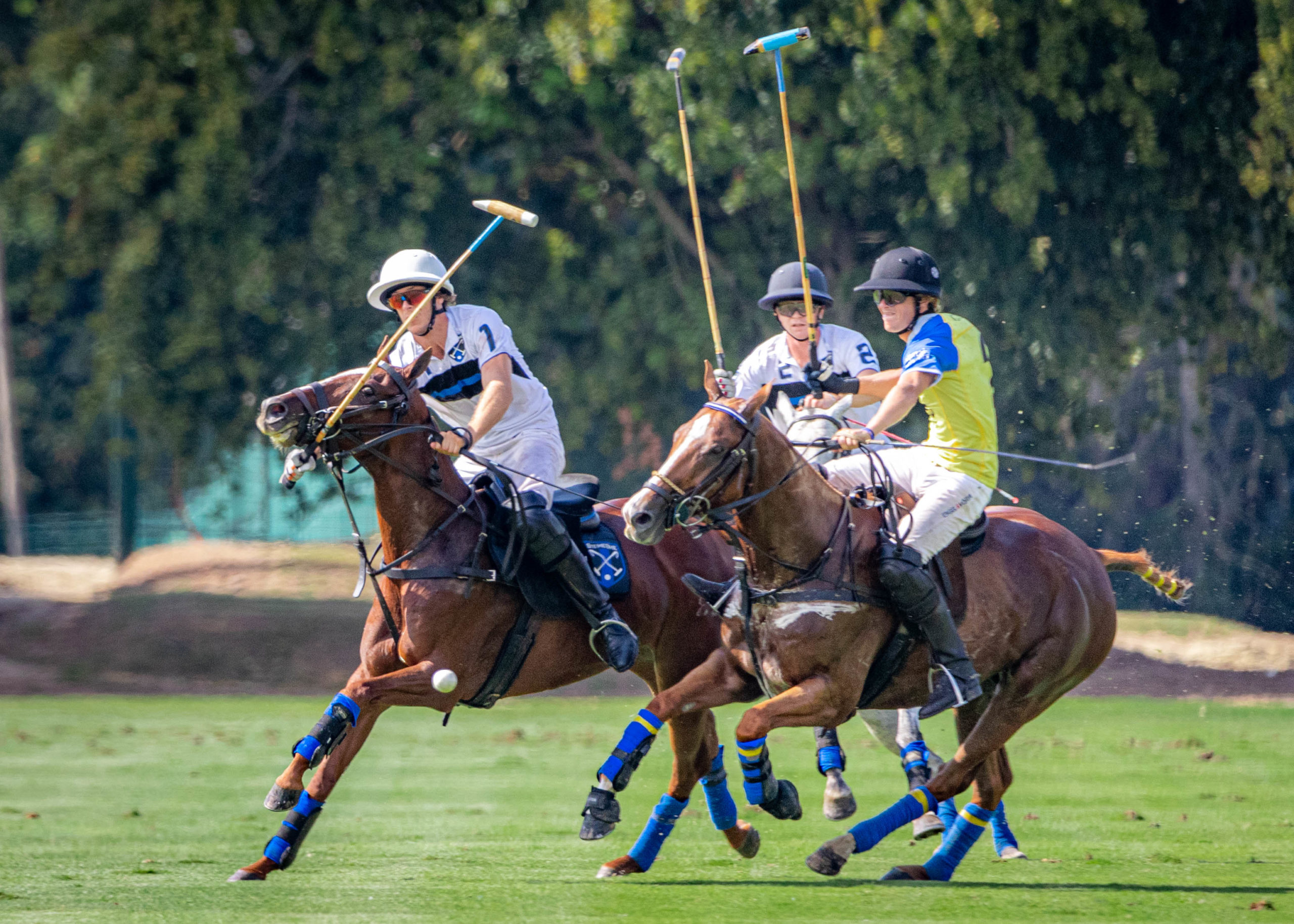 PoloLine.TV | Open de France Engel & Volkers - Ste Mesme v Clinova