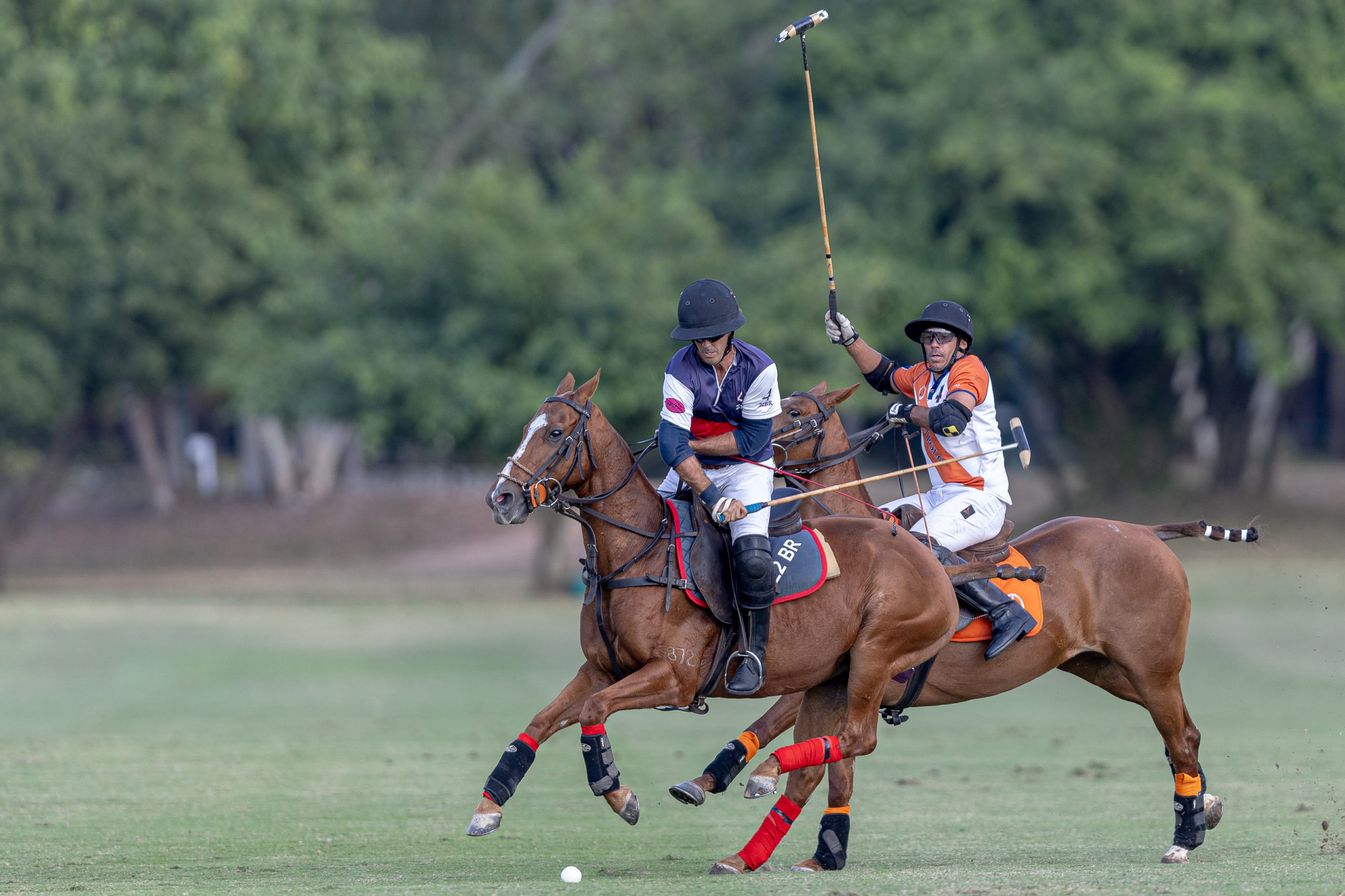 PoloLine.TV | Thai Equestrian Federation Cup - B.Grimm v 22BR