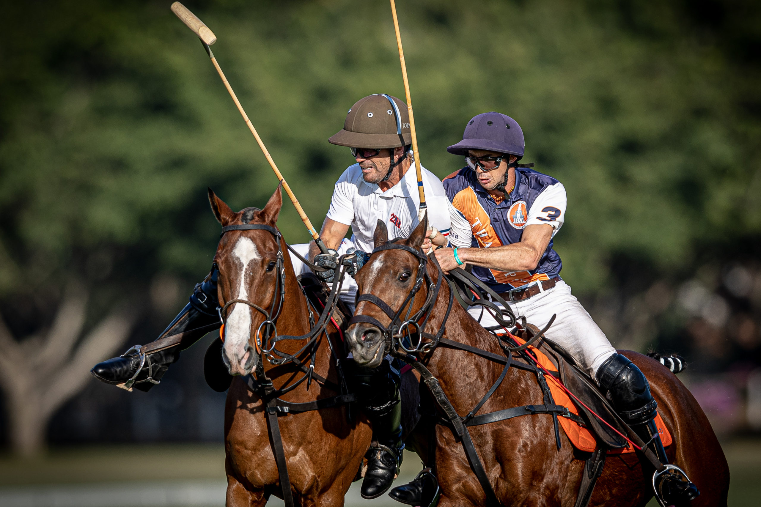 PoloLine.TV | Thai Polo Open 2023 - Thai Polo v 22BR
