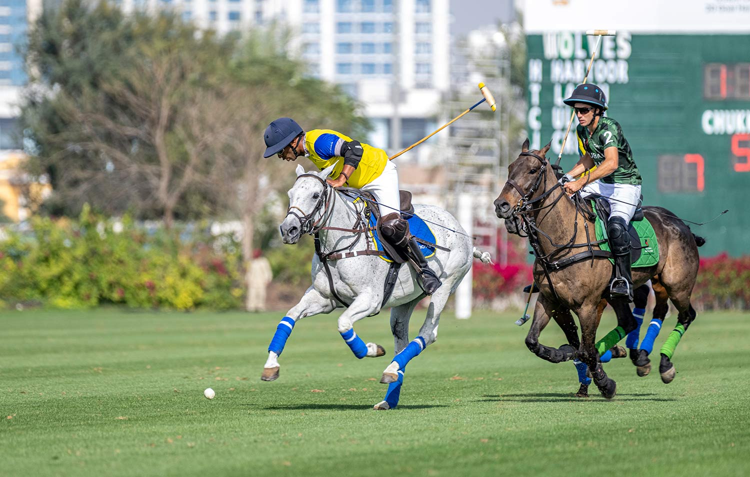 PoloLine.TV | IFZA Gold Cup - Dubai Wolves vs. Clinova