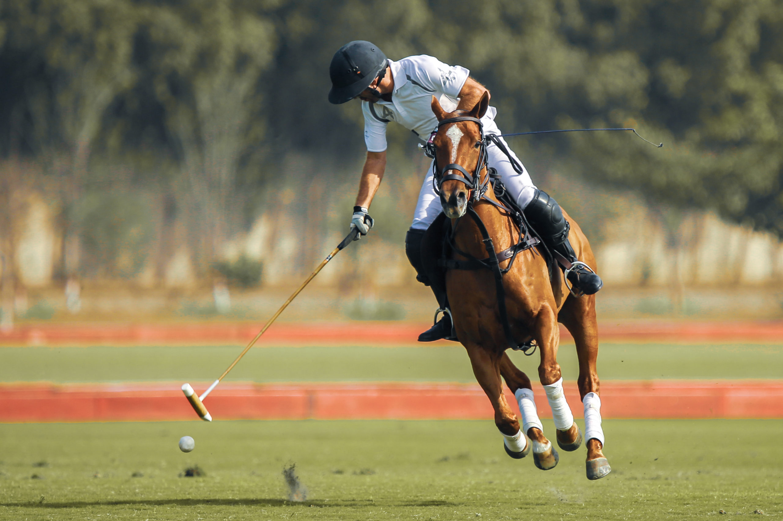 PoloLine.TV | 2nd President of Pakistan Cup 2023 - BN Polo vs Diamond ...