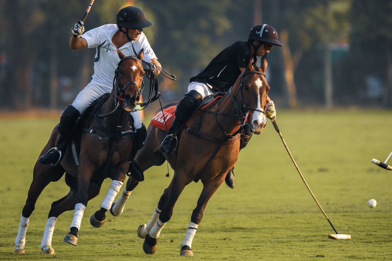 PoloLine.TV | National Pakistan Polo Open 2023 – BN Polo vs HN Polo