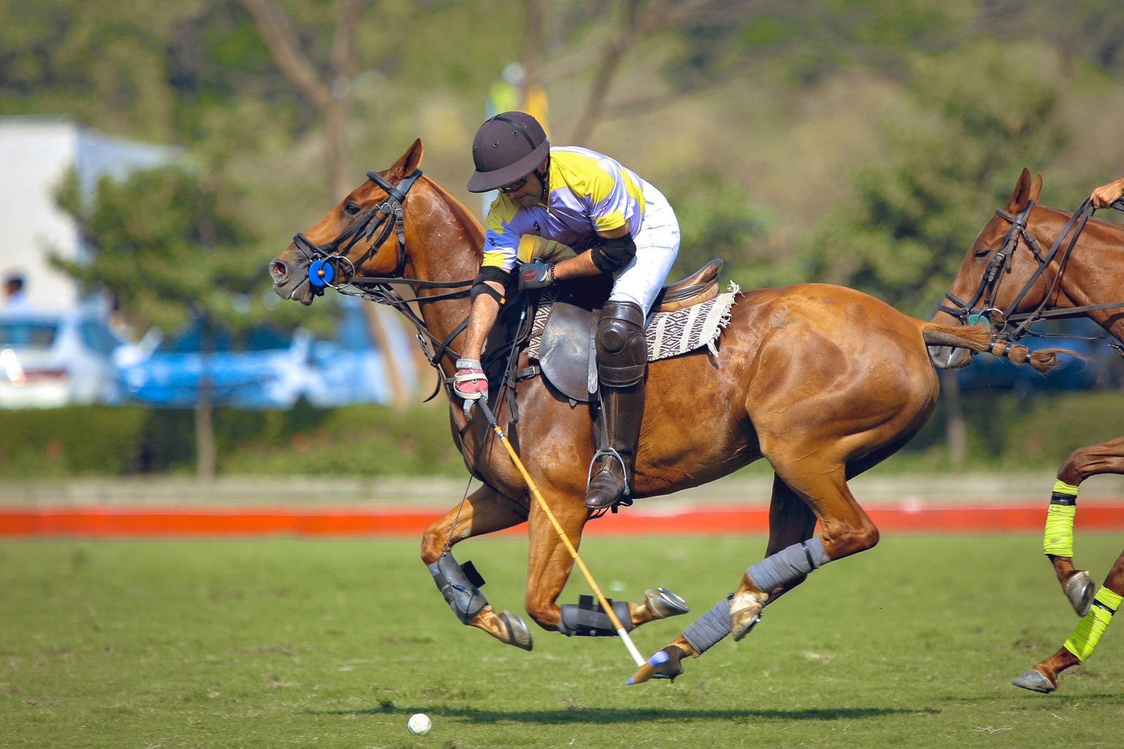 PoloLine.TV | National Pakistan Polo Open 2023 - FG Polo vs DS Polo