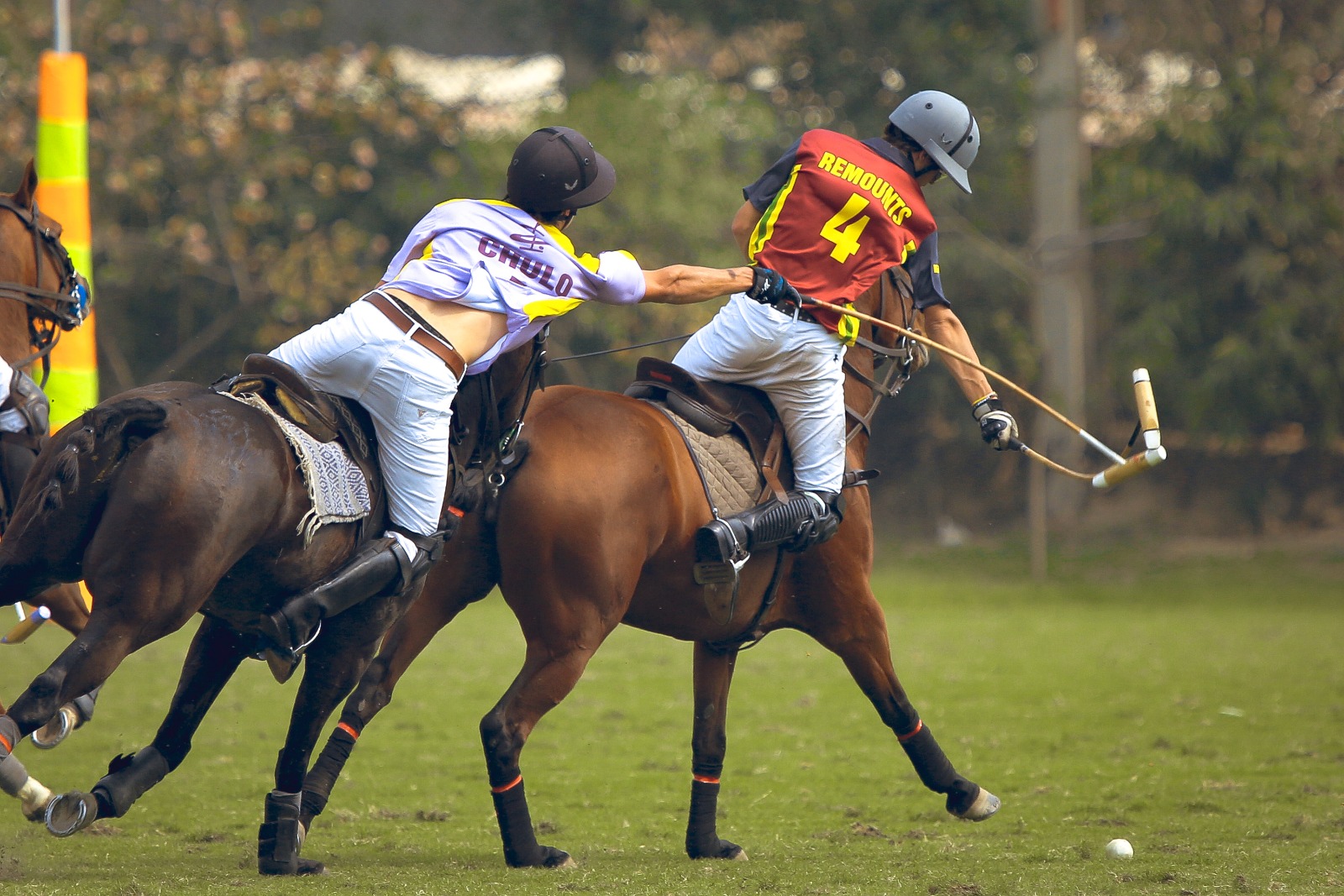 PoloLine.TV | National Pakistan Polo Open 2023 - Remounts vs DS Polo