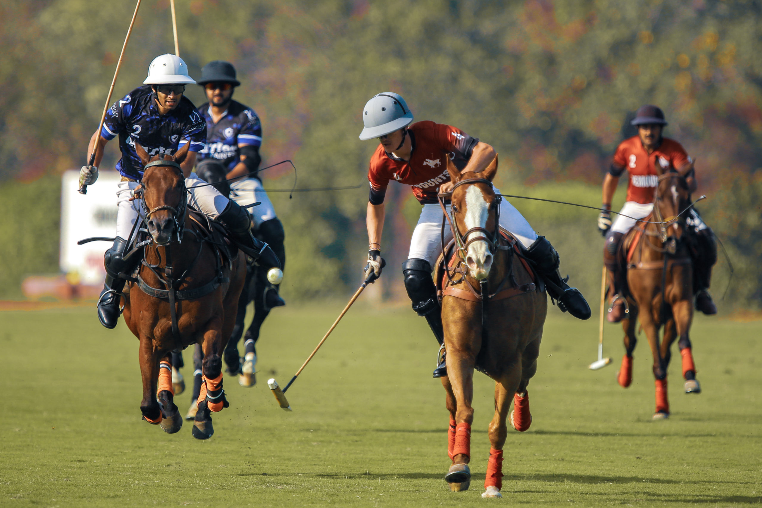 PoloLine.TV | National Pakistan Polo Open - Remounts vs Master Paints