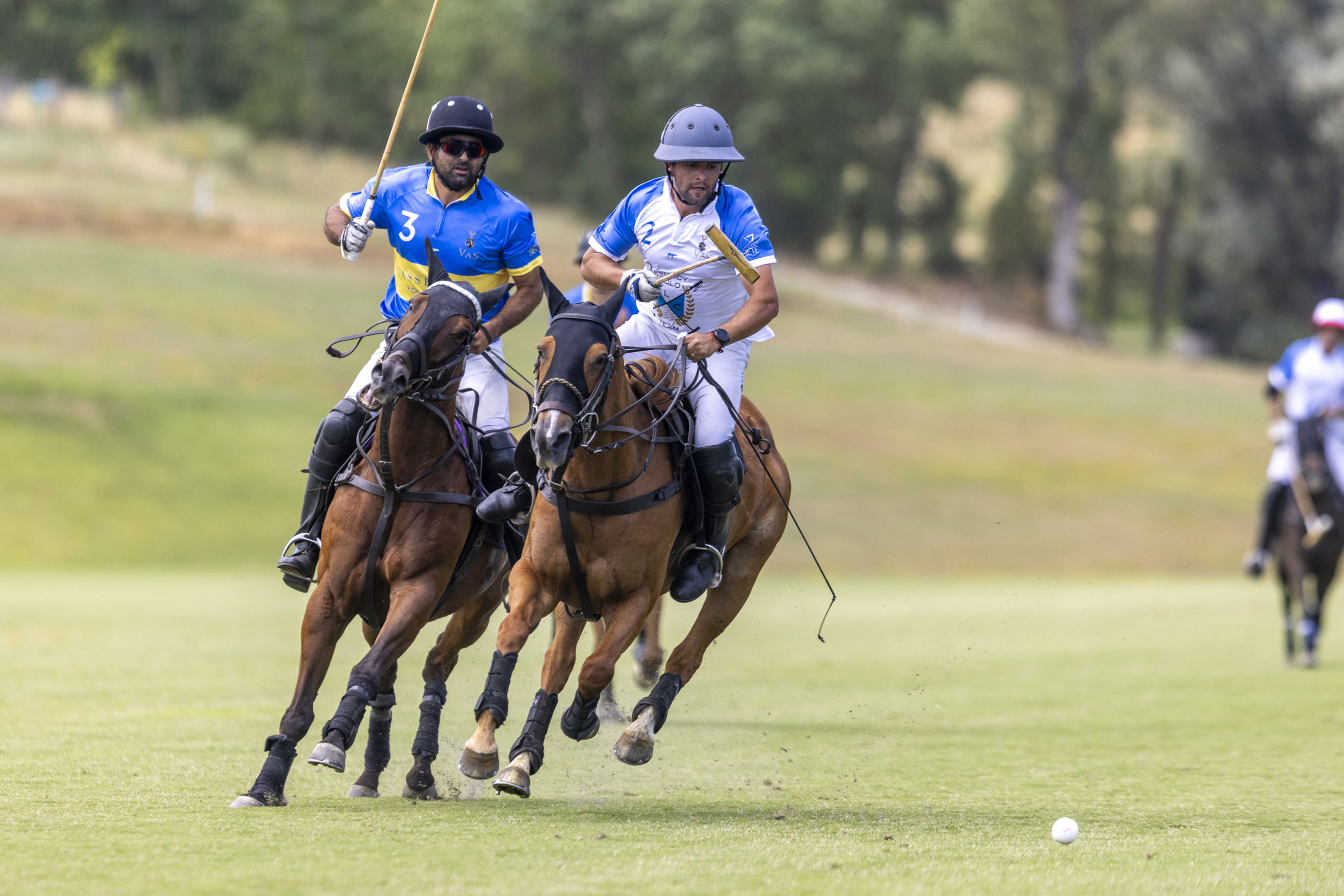 PoloLine.TV | Kings Polo Masters - Legacy vs Cassiopeia