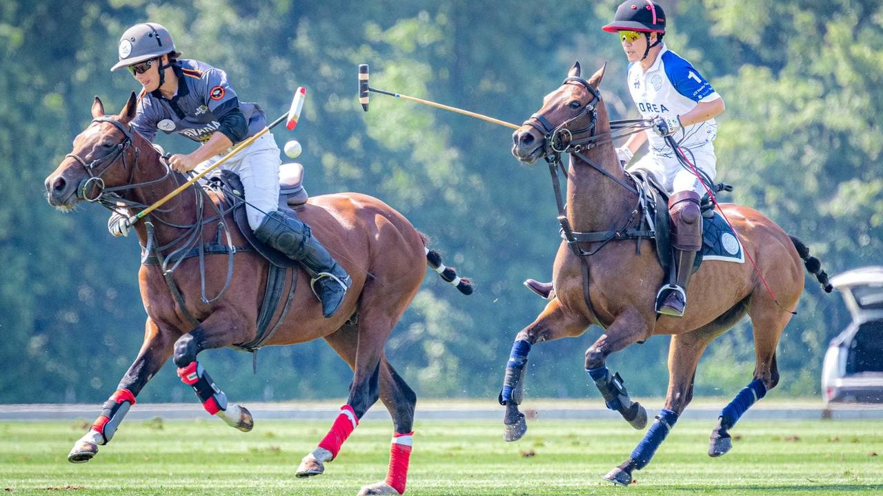 PoloLine.TV | The British Open Polo Championship for the Cowdray Gold ...