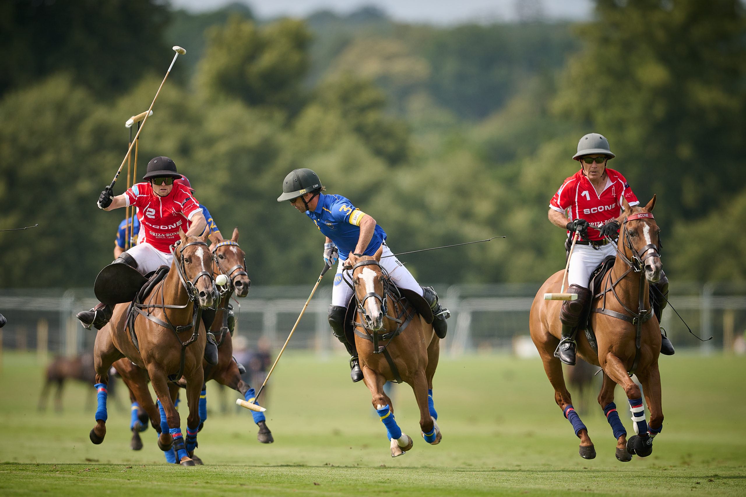PoloLine.TV | British Open 2023 - Scone vs Park Place