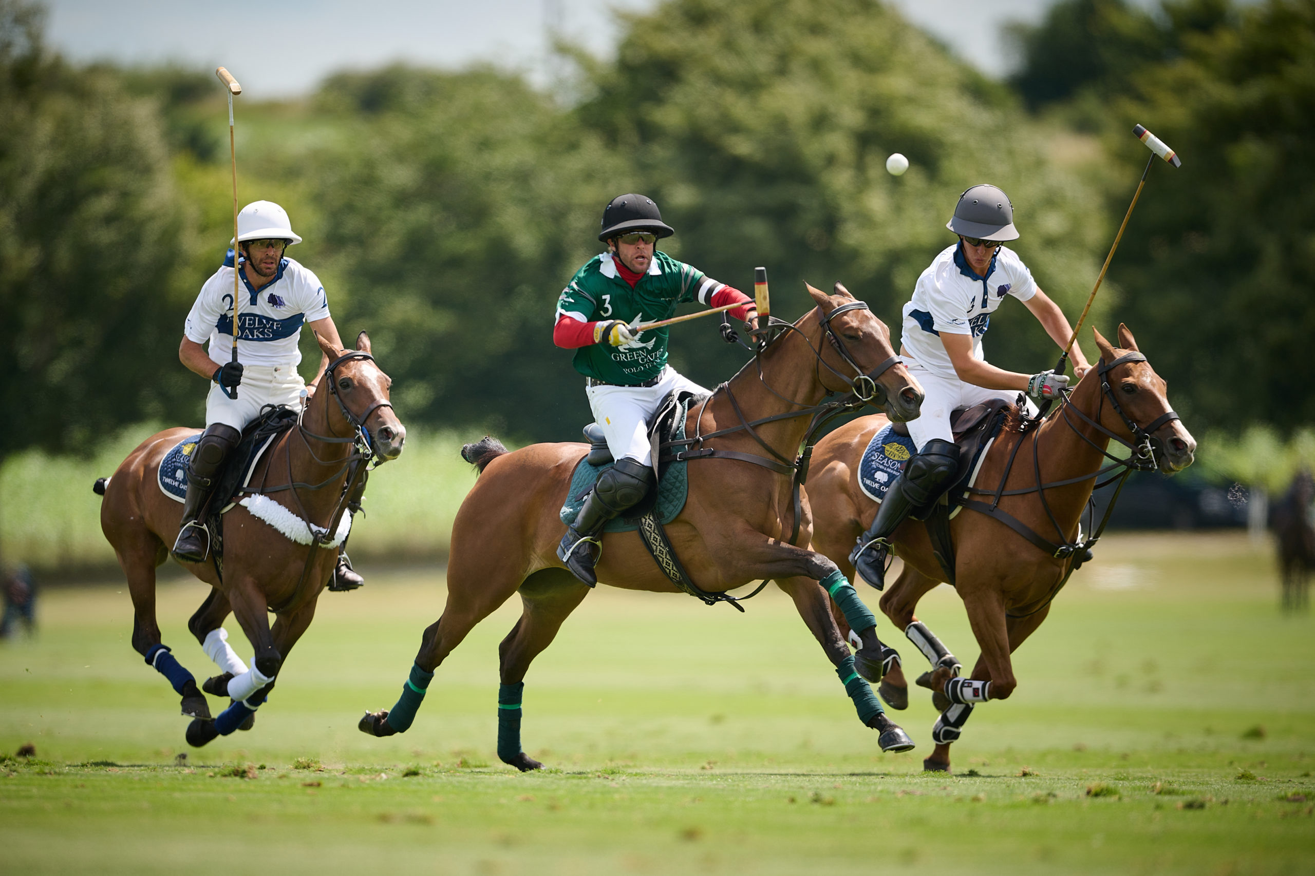 PoloLine.TV | British Open 2023 - Twelve Oaks vs Green Gates
