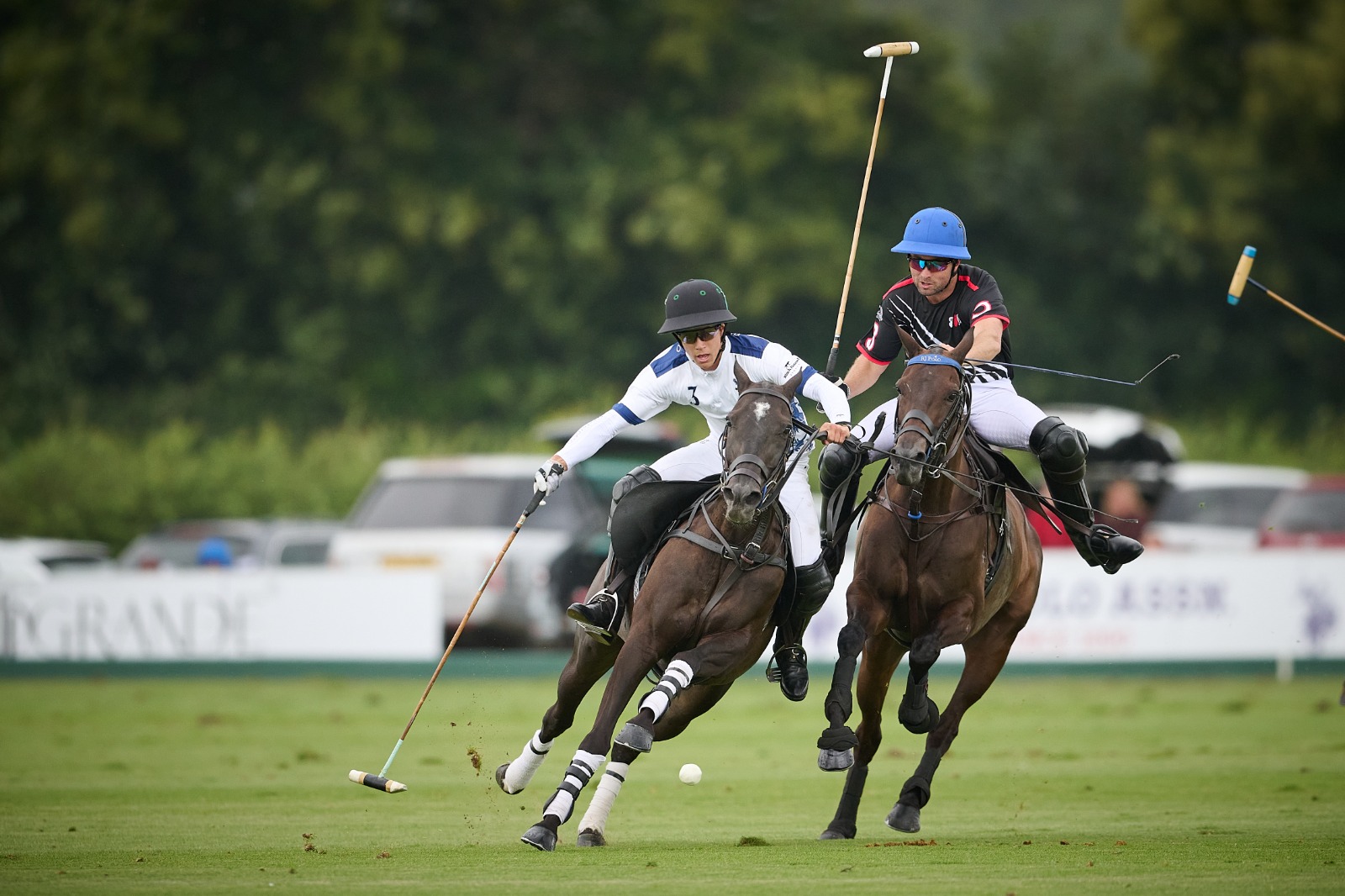 PoloLine.TV | British Open 2023 – Highlights – Monterosso vs Black Bears