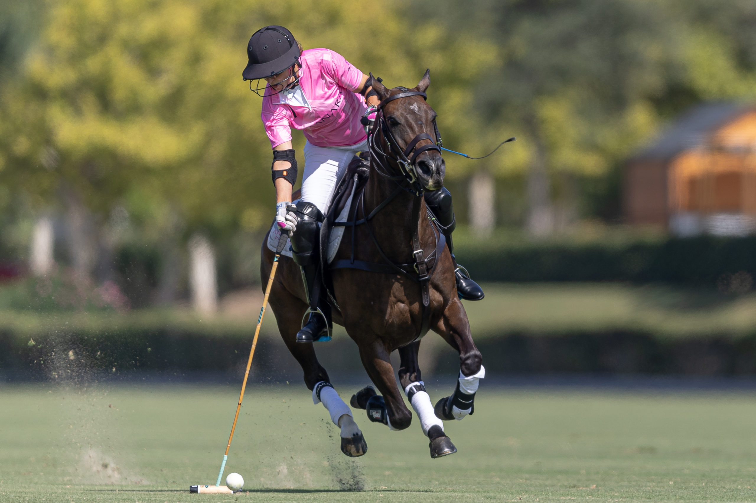 PoloLine.TV | Copa de Oro 2023 Mediano - Amanara vs ATL