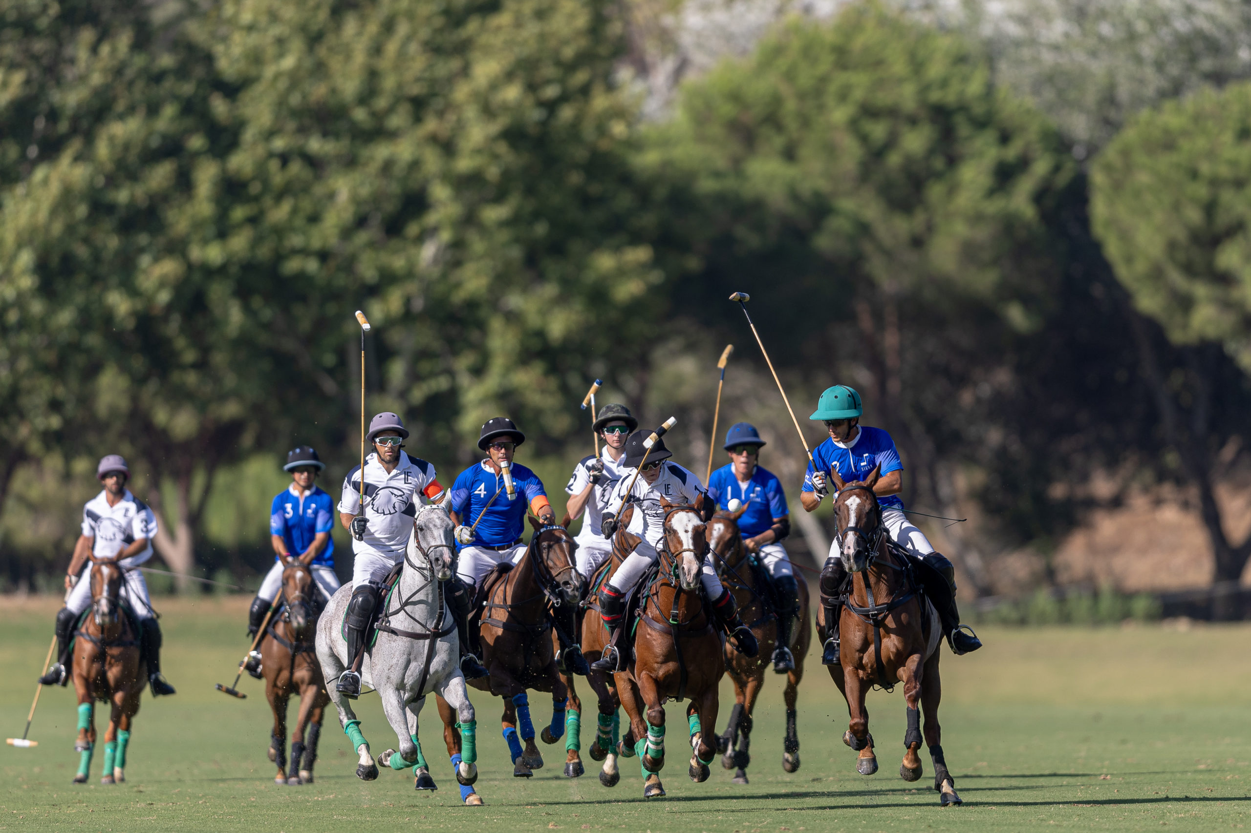 PoloLine.TV | Copa de Oro 2023 Bajo - Aguilas vs Sigma Polo Team