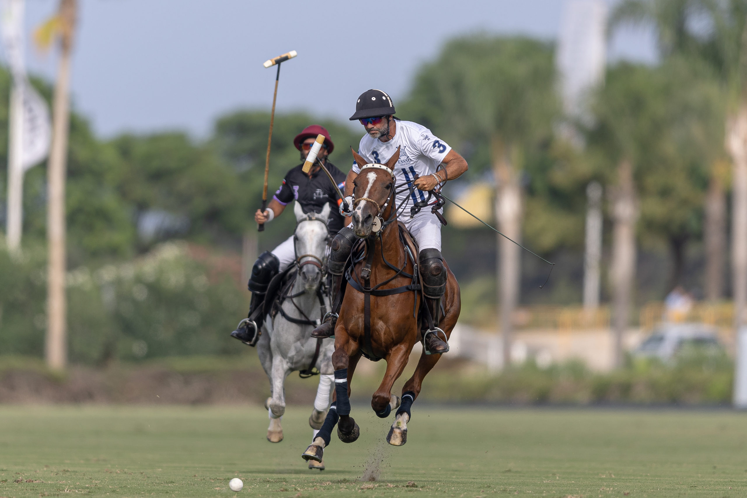 PoloLine.TV | Copa de Oro 2023 Bajo - Esso vs Polo Valley