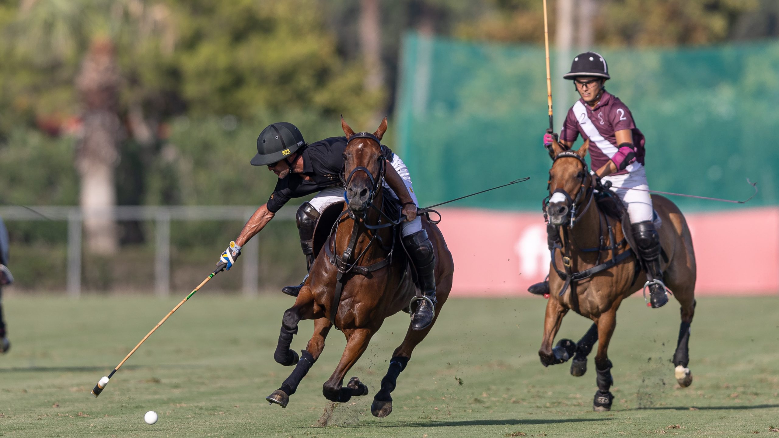 PoloLine.TV | Copa De Oro 2023 Alto - Semifinal - MB Polo Team vs San Luis