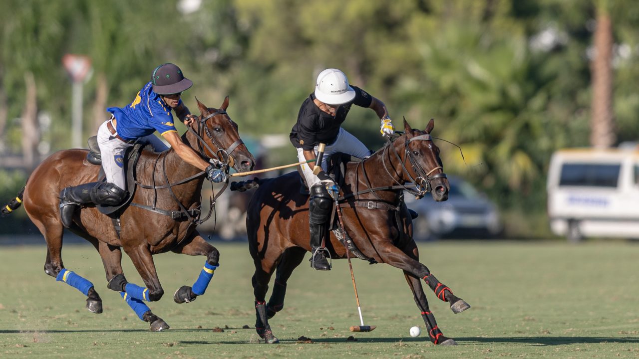 PoloLine.TV | Copa de Oro Alto 2023 - Barto Castagnola