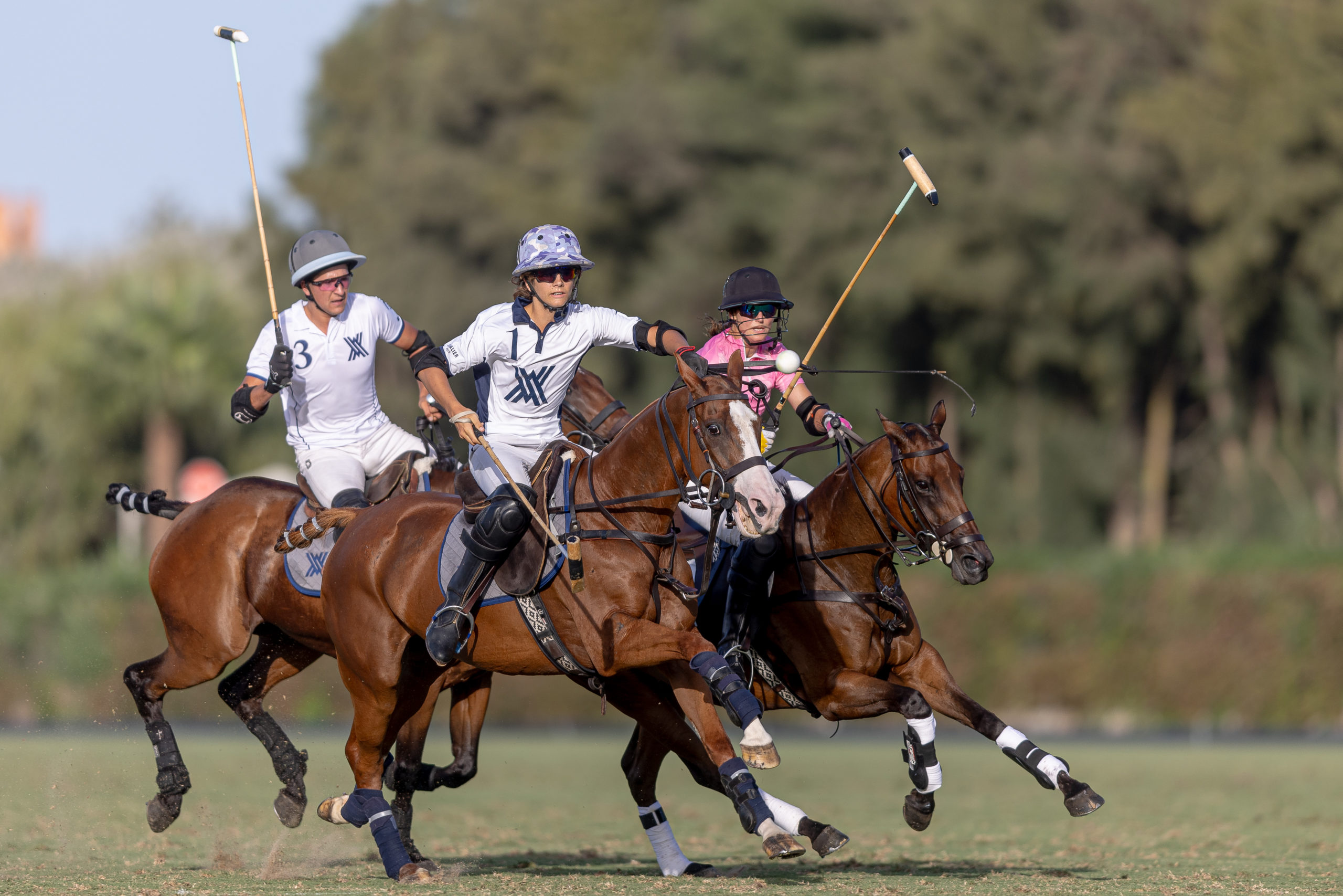PoloLine.TV | Copa de Oro Mediano - Ayala vs Amanara