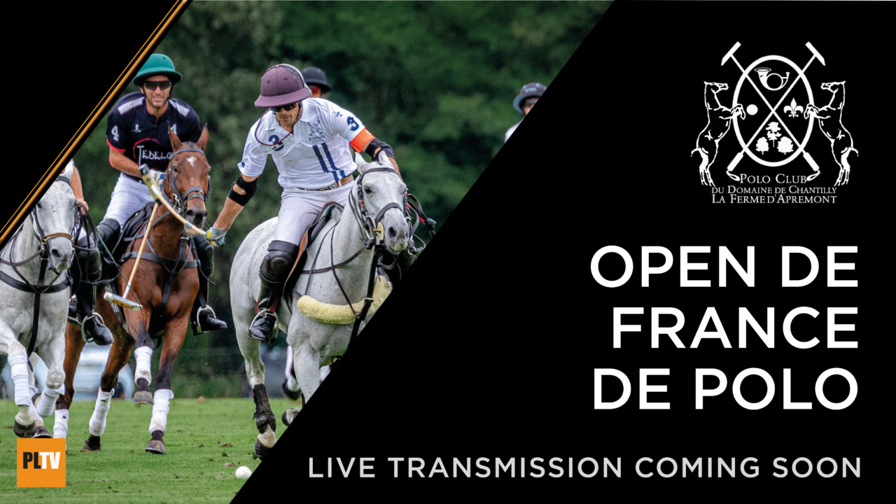 PoloLine.TV | LIVE