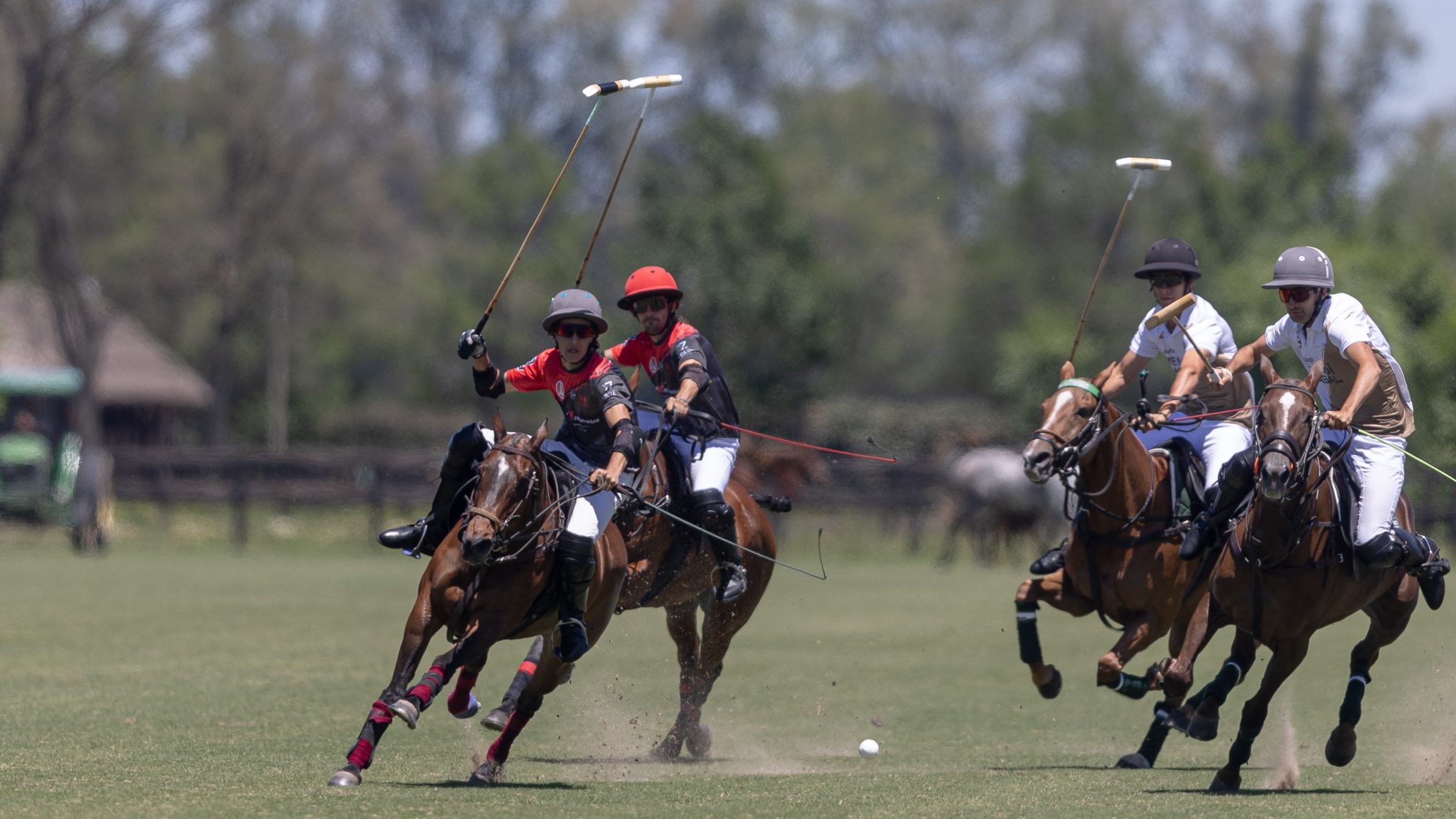 PoloLine.TV | Homepage
