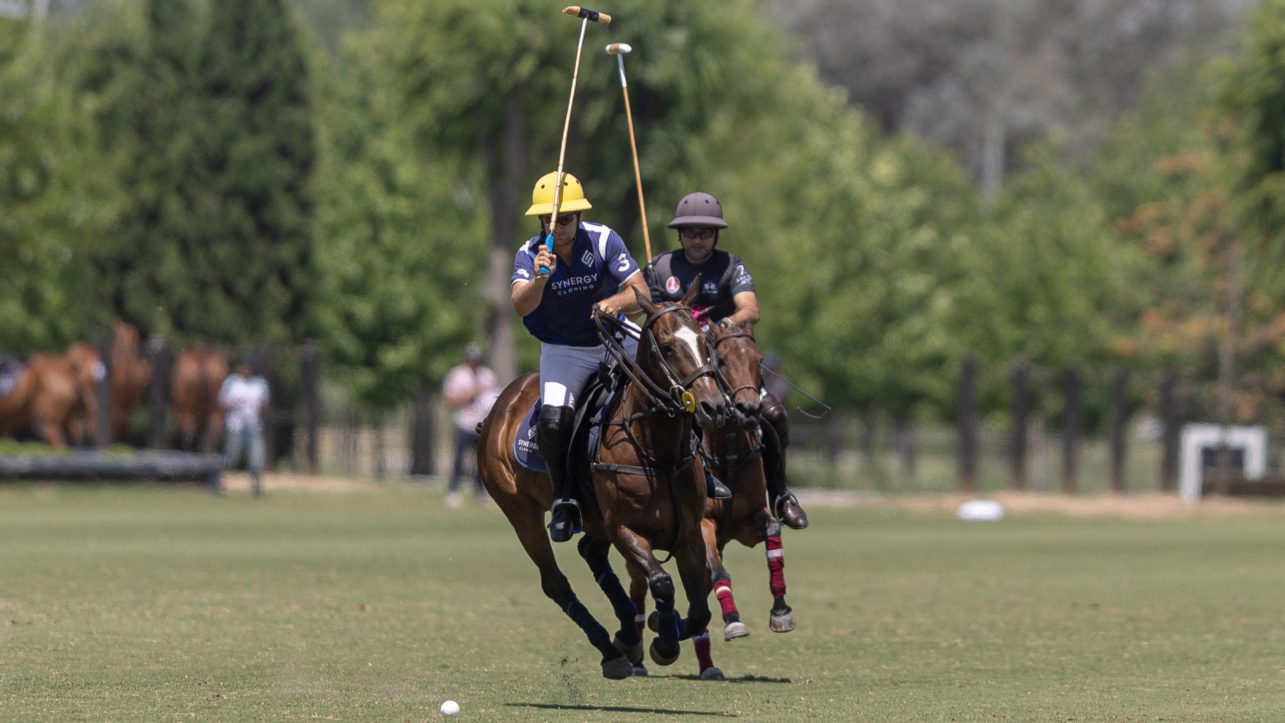 PoloLine.TV | Thai Polo Cup 2023 - TNL Polo Team v Synergy Cloning