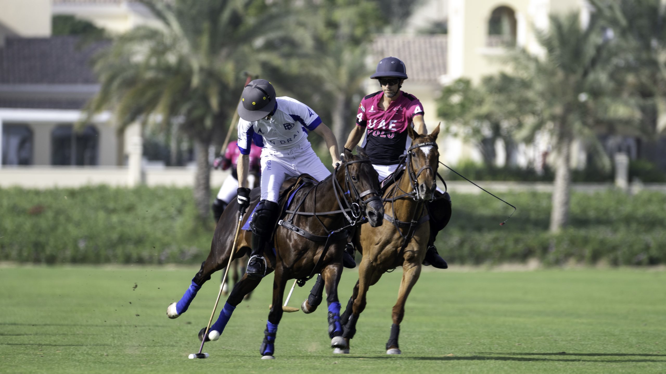 PoloLine.TV | Emaar Cup 2024 - Bin Drai Polo vs Uae Polo