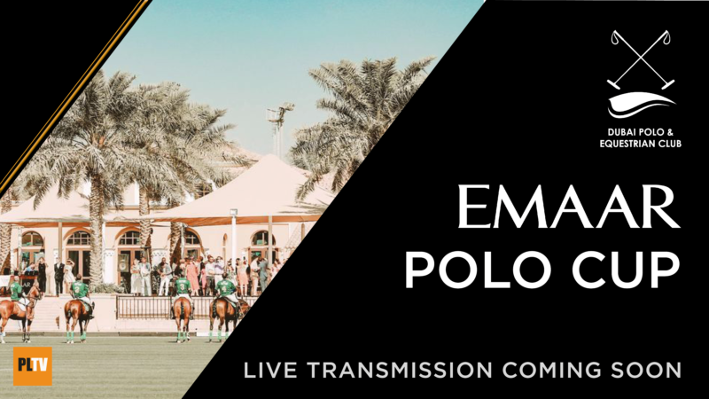 PoloLine.TV | LIVE