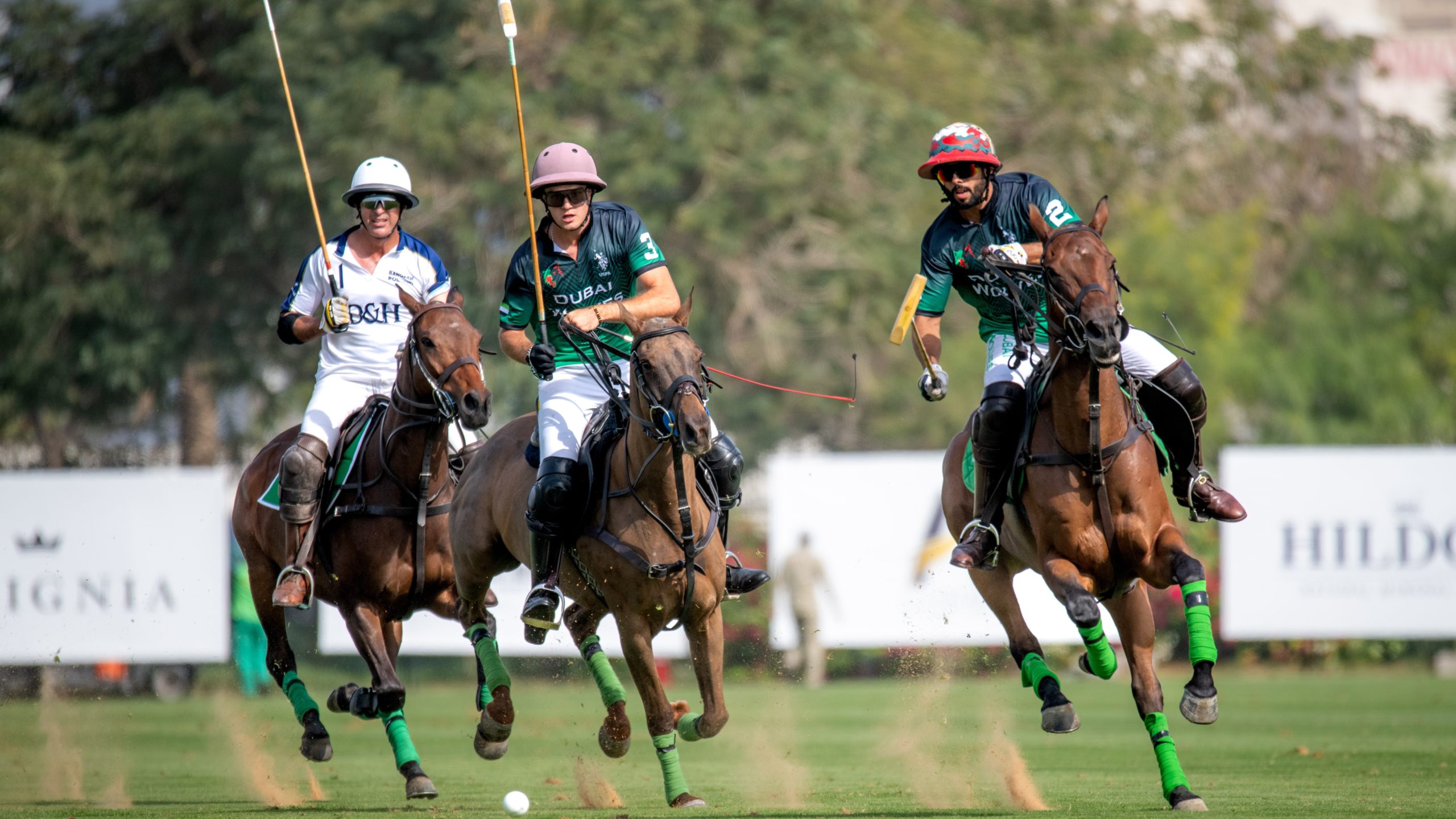 PoloLine.TV | Dubai Silver Cup 2024 - Bangash Polo vs Dubai Wolves