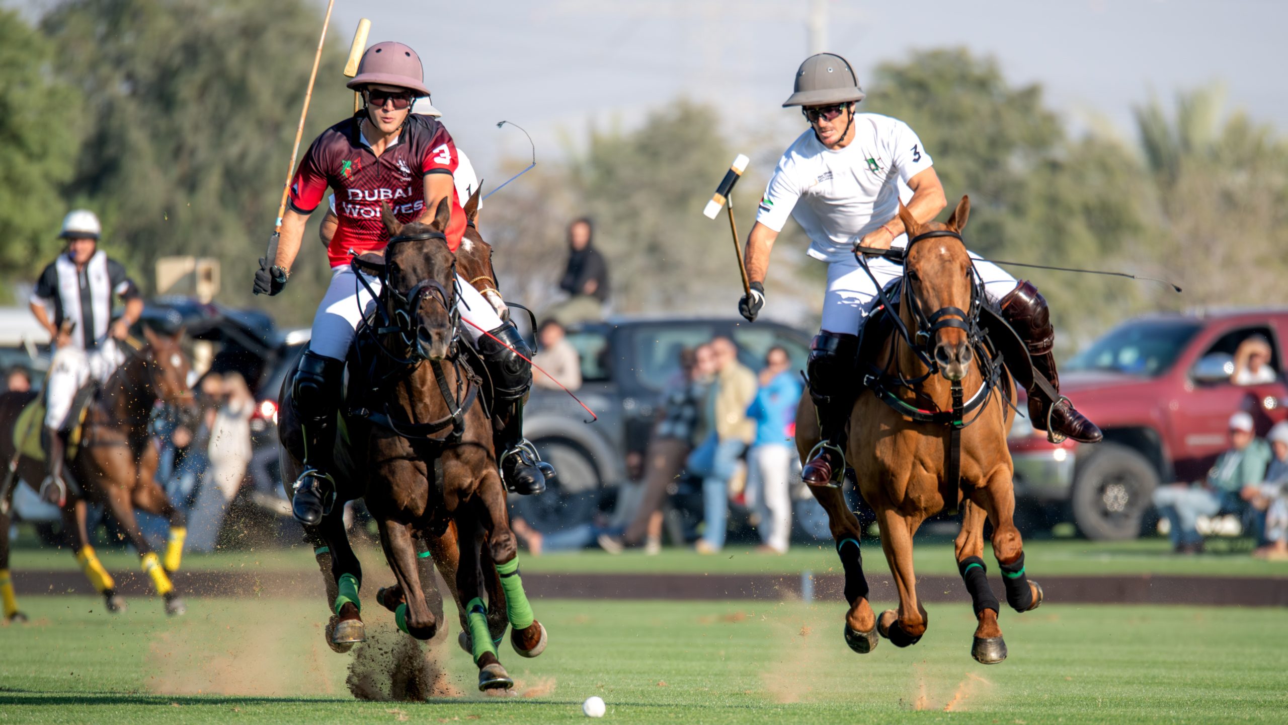 PoloLine.TV | Dubai Gold Cup 2024 - Dubai Wolves vs Ghantoot Polo