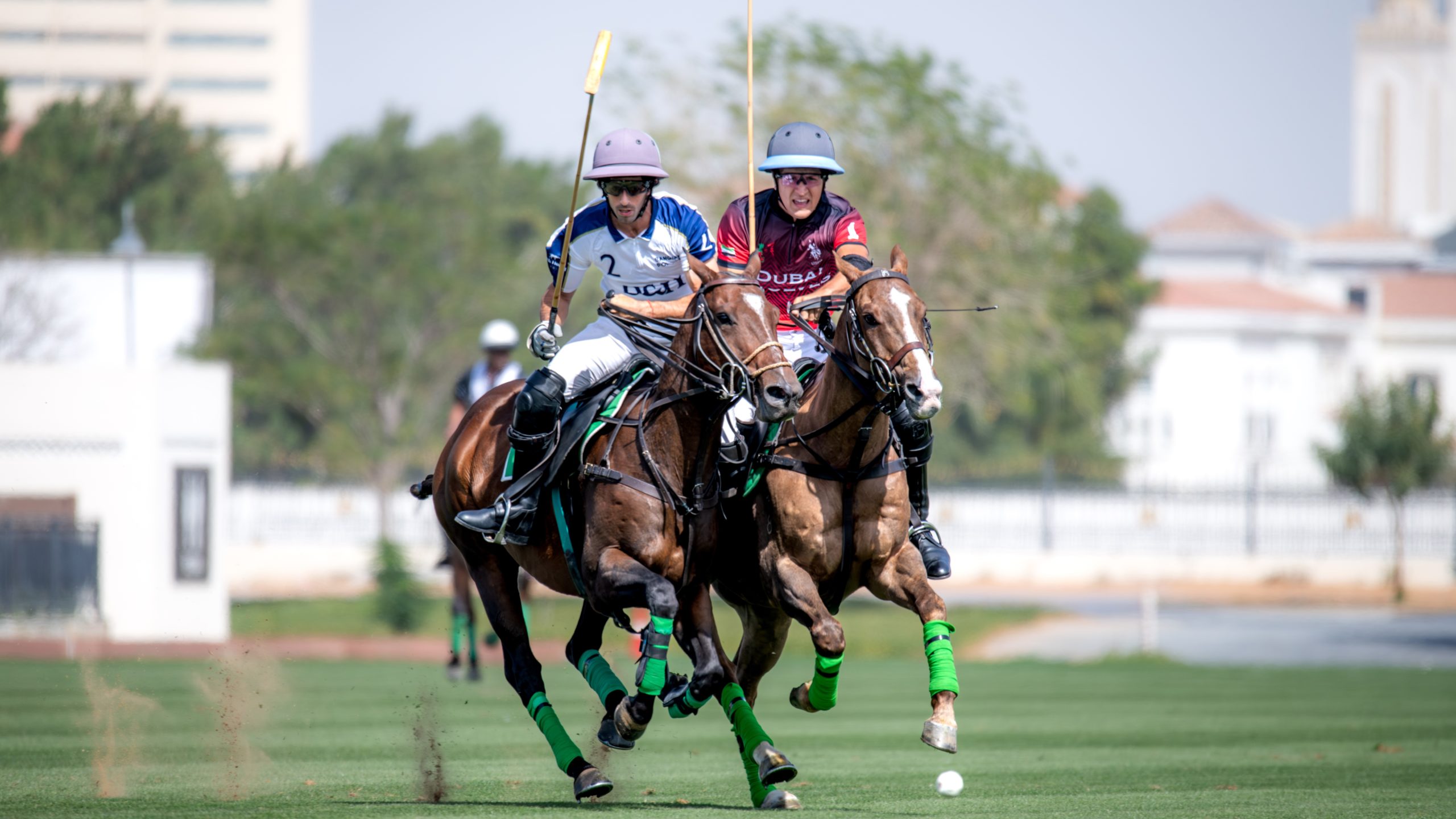 PoloLine.TV | Dubai Gold Cup 2024 - Dubai Wolves vs Bangash Polo