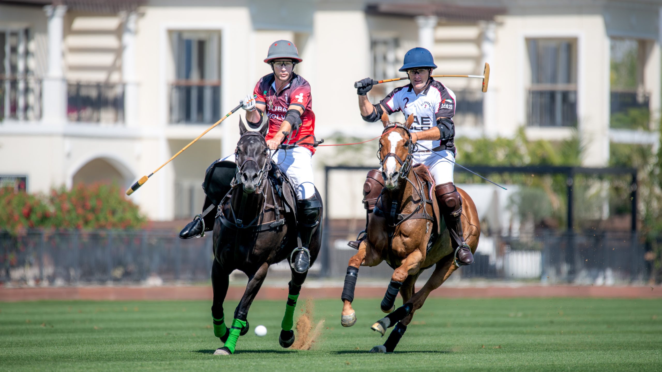 PoloLine.TV | Dubai Gold Cup Semifinal 2024 - Dubai Wolves vs Uae Polo