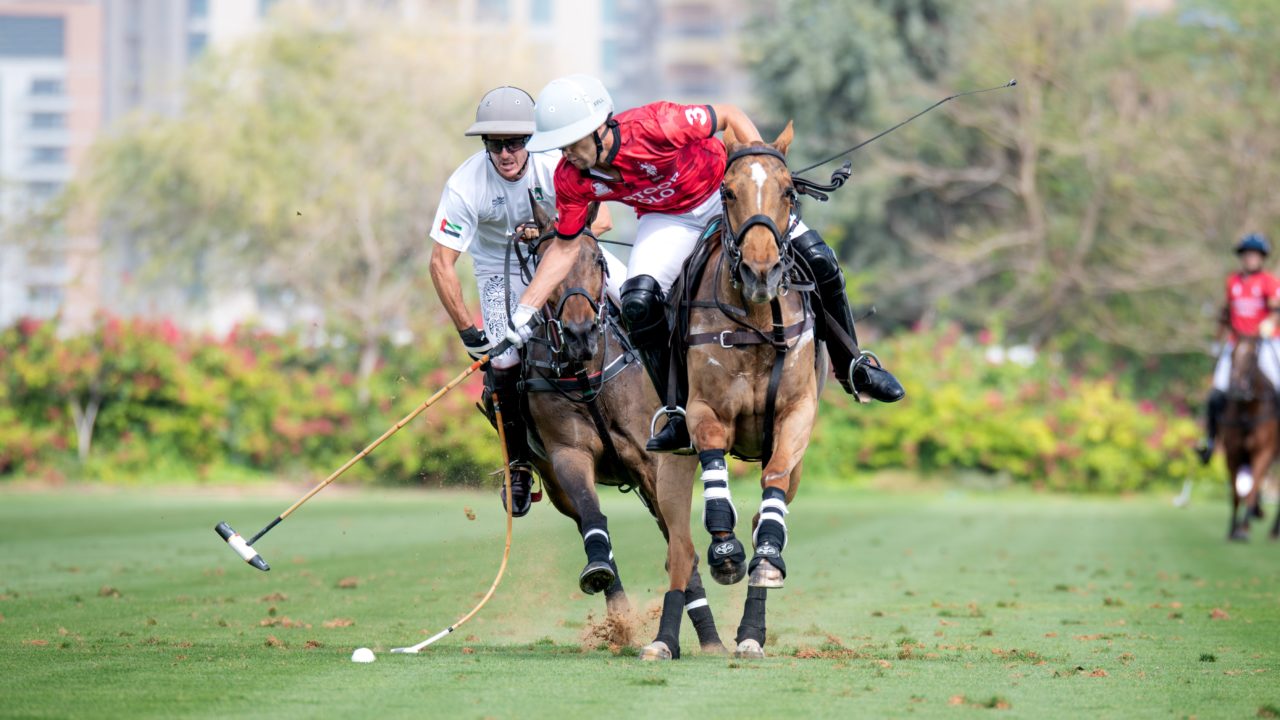PoloLine.TV | Dubai Gold Cup 2024 - Dubai Wolves vs Ghantoot Polo
