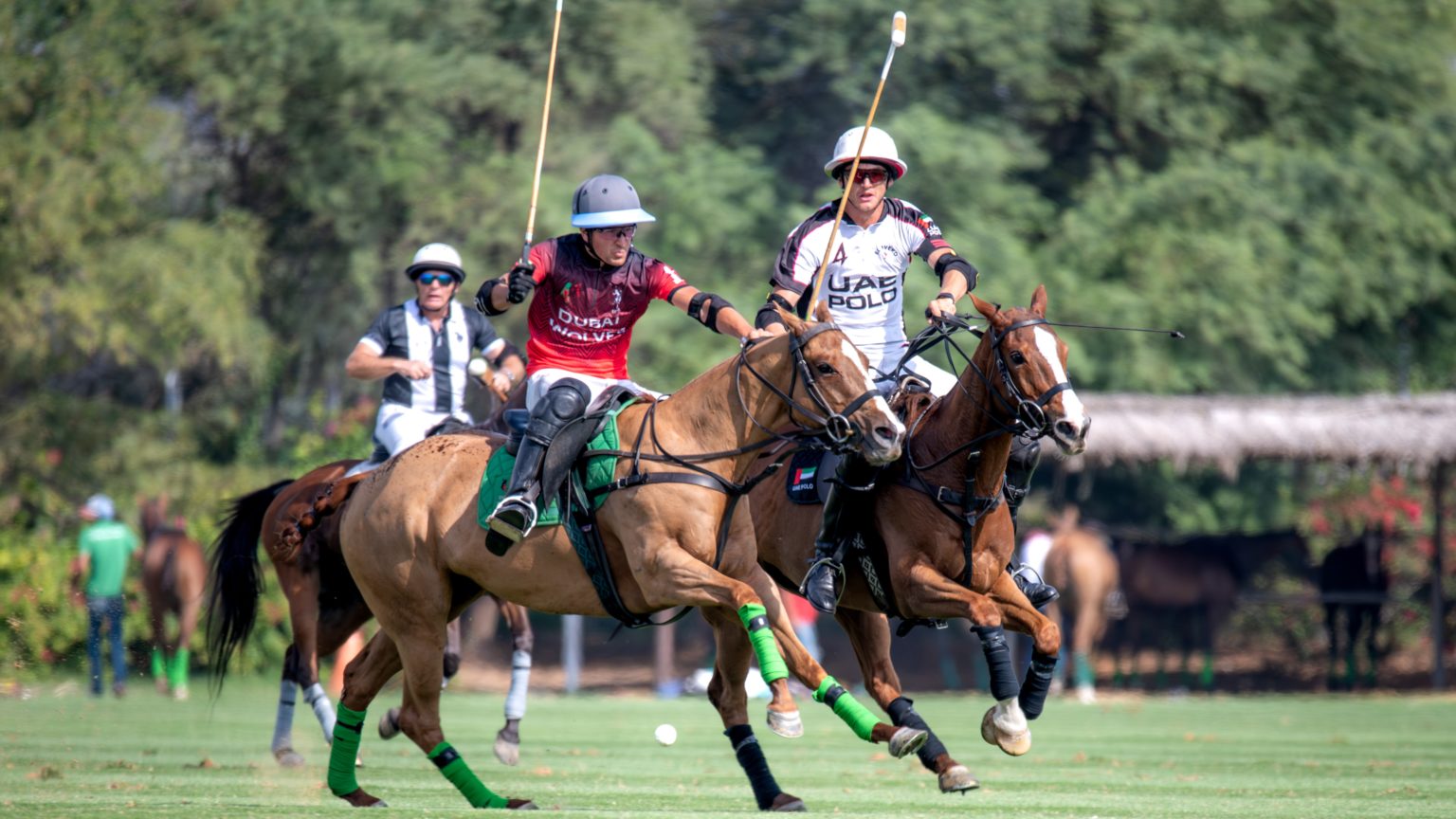 PoloLine.TV | Dubai Gold Cup 2024 - Aix Mahra Polo vs Uae Polo